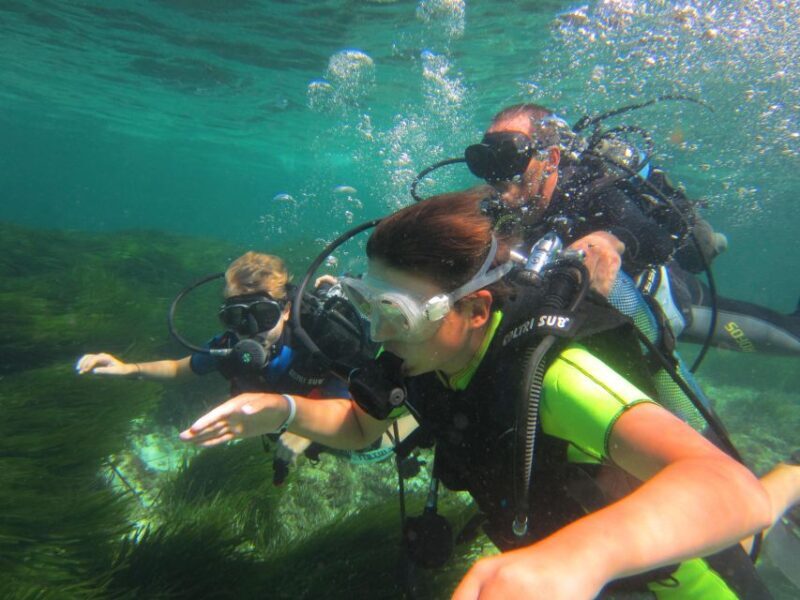 DISCOVER THE UNDERWATER WORLD, Scuba Diving Experience - The Sum Up