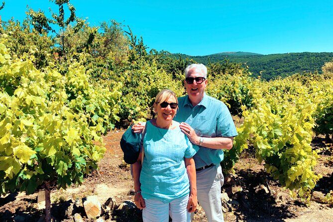 Discover the unique wine and villages of the Sierra de Salamanca - An In-Depth Look at the Tour Experience