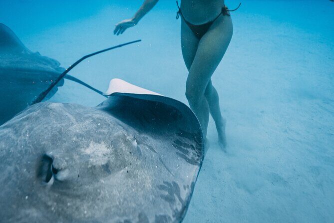 Discover the unspoilt sites of the lagoon DE Moorea - Exploring Moorea’s Wild Coast: An Authentic Polynesian Adventure