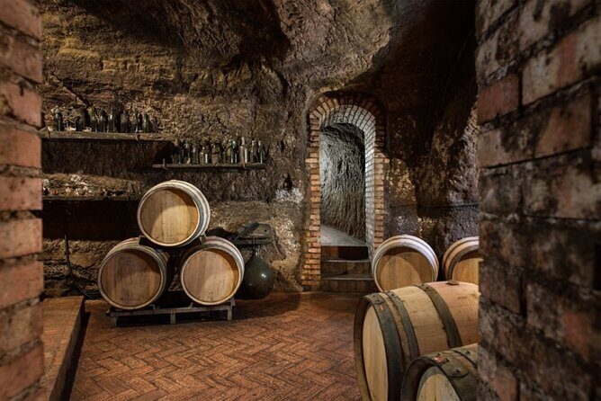 Discover the volcanic tuff caves and taste excellent Lucanian wines - Who Should Consider This Tour?