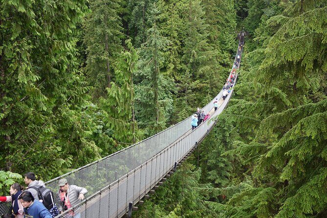 Discover the Wild Beauty of North Vancouver - Key Points