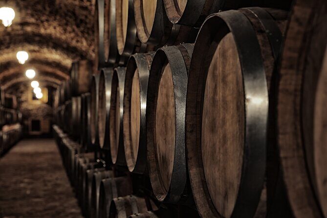 Discover the Winery and Taste fine Wine in Extremadura - The Sum Up
