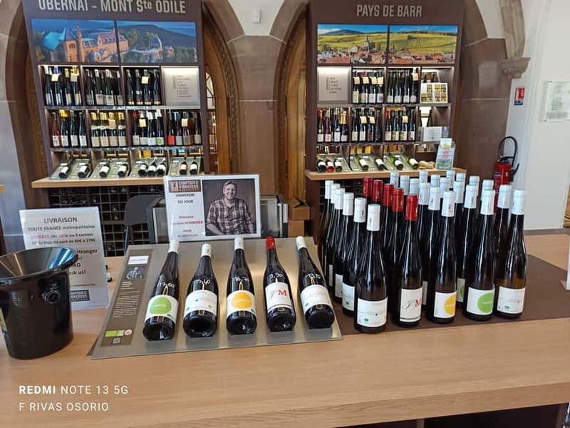 Discover the Wines of Alsace and a brief introduction to Strasbourg. - An In-Depth Look at the Experience