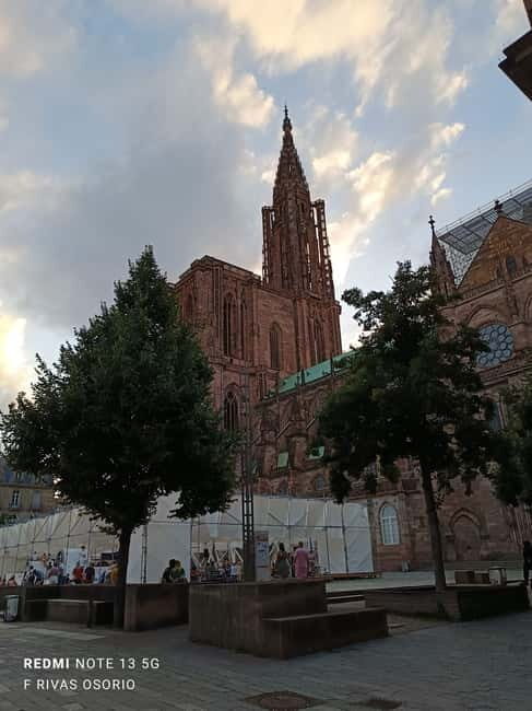 Discover the Wines of Alsace and a brief introduction to Strasbourg. - Wrapping Up: Is This Experience Worth It?