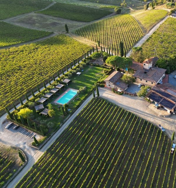 Discover the Wines of Chianti Classico with a tasting at Viticcio - Key Points