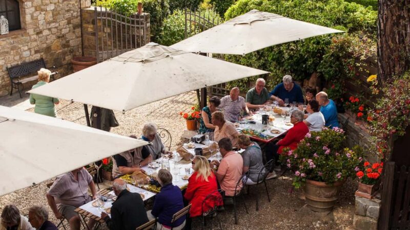 Discover the wines of Chianti Classico with a visit and tasting at Viticcio. - An In-Depth Look at What to Expect