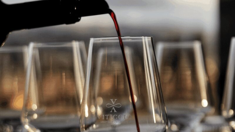 Discover the wines of Chianti Classico with a visit and tasting at Viticcio. - Final Thoughts: Who Should Book This Tour?