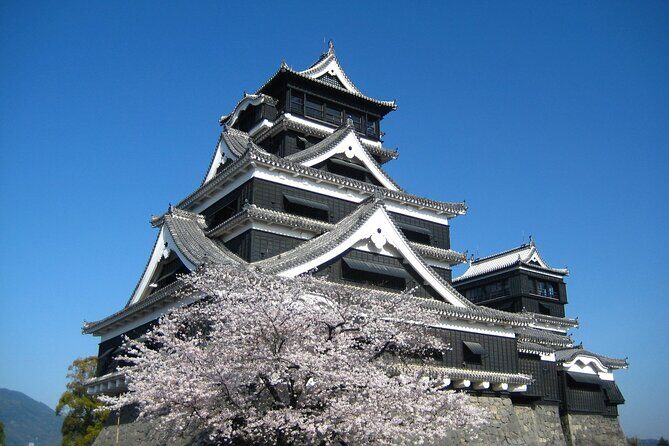 Discover the Wonders of Kumamoto Tour Ramen lunch included - Authenticity and Guide Quality