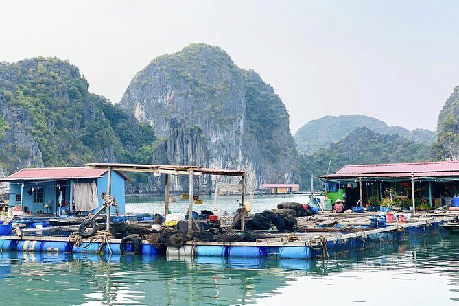 Discover The Wonders Of Lan Ha Bay With D'Charme Luxury Cruise - What You’ll Experience on the Day