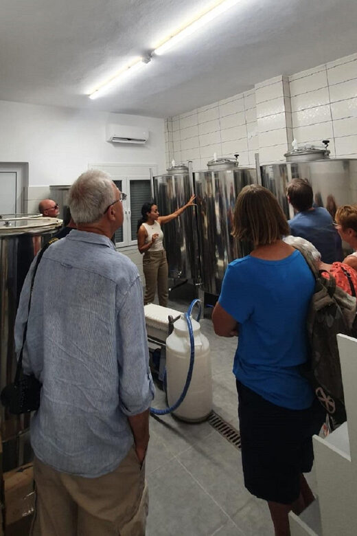 Discover the world of Extra Virgin Olive Oil - Pricing & Value