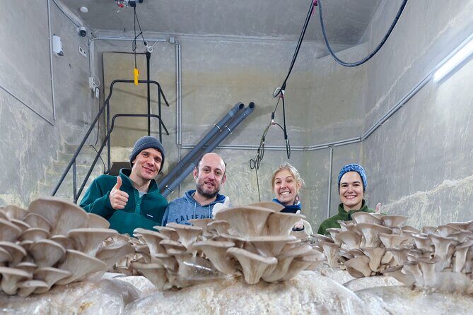 Discover the World of Mushrooms - Practical Details and Tips