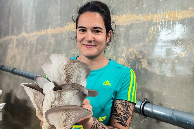 Discover the World of Mushrooms - The Sum Up: Is This Tour for You?