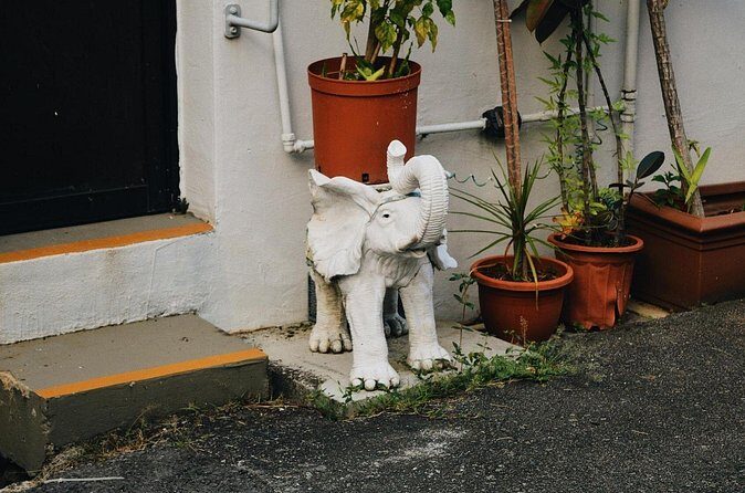 Discover Tiong Bahru Singapore - Private & Custom Walking Tour - The Sum Up