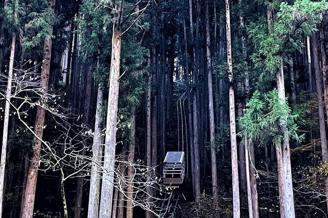Discover Tokyo's Mountain Roots: History, Culture & Nature - An In-Depth Look at the Experience