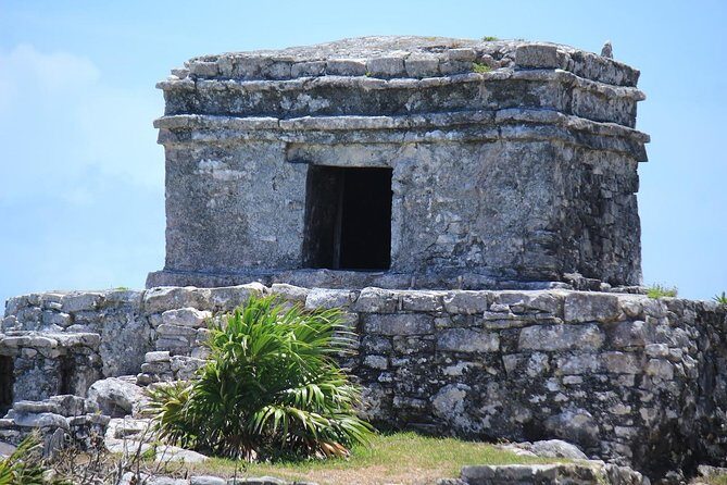 Discover Tulum, Visit Coba And Swim In A Real Mayan Cenote and Playa del carmen - Authentic Experiences and Highlights