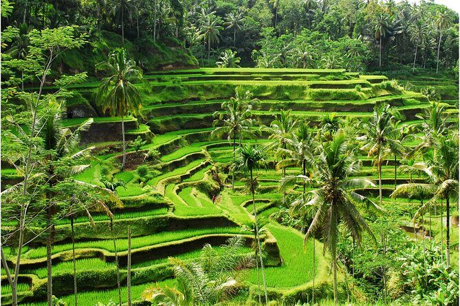 Discover Ubud: 2 Days Ubud Private Tour - Key Points