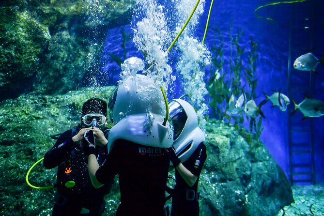 Discover UnderWater Blue Lagoon with this Snorkeling - Authenticity and Practical Tips