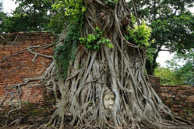 Discover UNESCO World Heritage Sites - Ayutthaya to Khao Yai National Park - An in-depth look at the experience