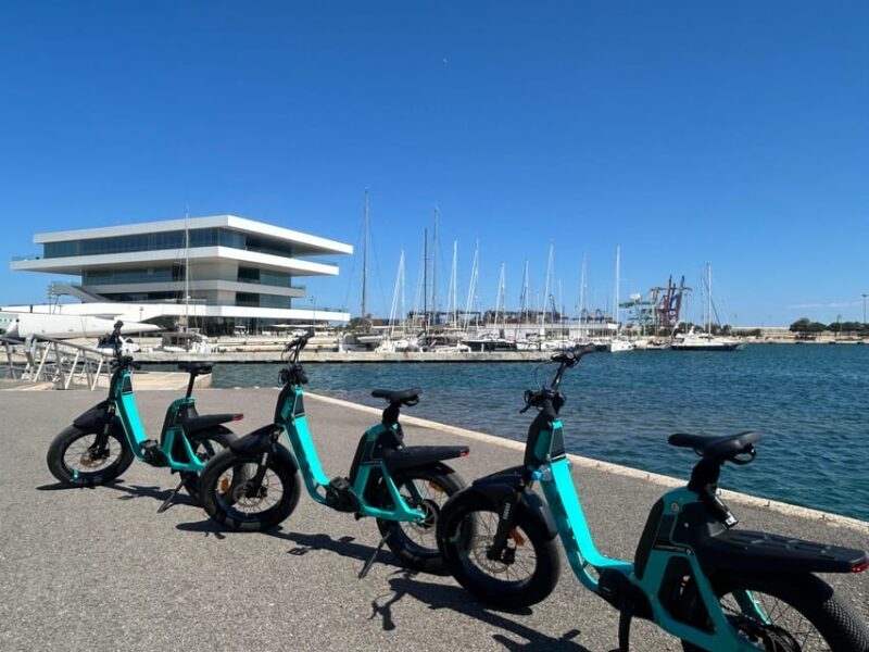 Discover Valencia by bike  Dutch-speaking tour - Review Insights and What Travelers Say