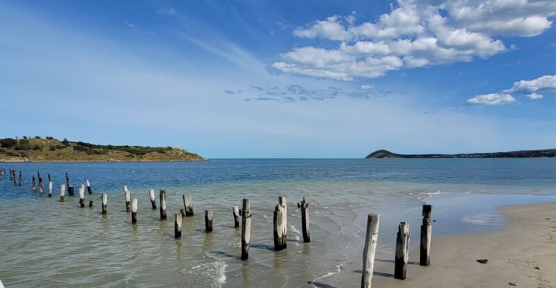 Discover Victor Harbor Guided Walking Tour - A Closer Look at the Tour Itinerary