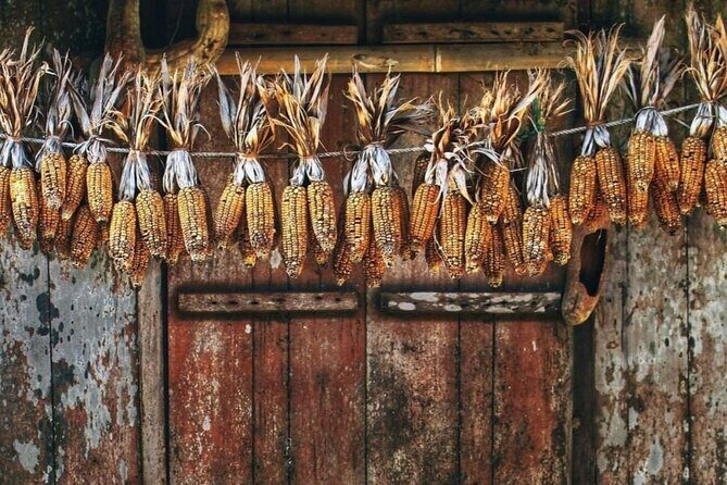 Discover Viet Hai Village by Bike & Kayak in Cat Ba Archipelago - FAQ