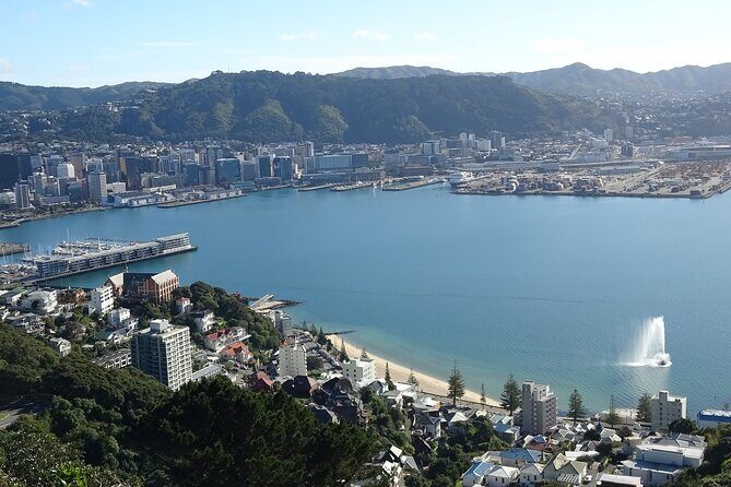 Discover Wellington 3 hour City Tour - Who Is This Tour Best For?