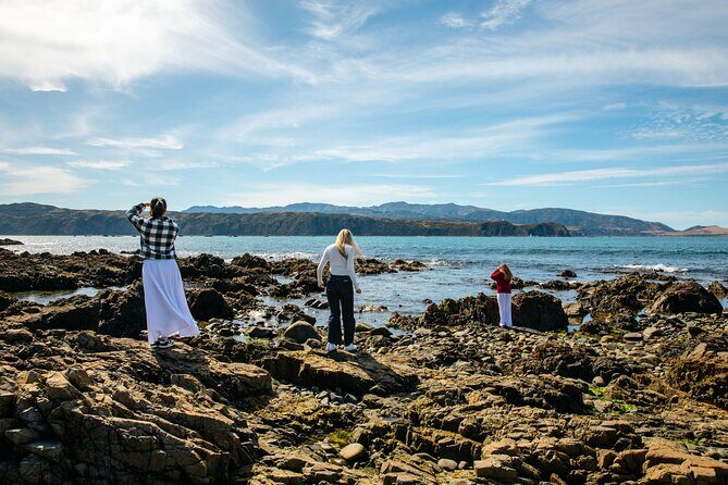 Discover Wellington 3 hour City Tour - Why We Think This Tour Is Worth Considering