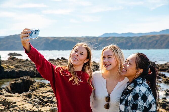 Discover Wellington 3 hour City Tour - Detailed Breakdown of the Itinerary