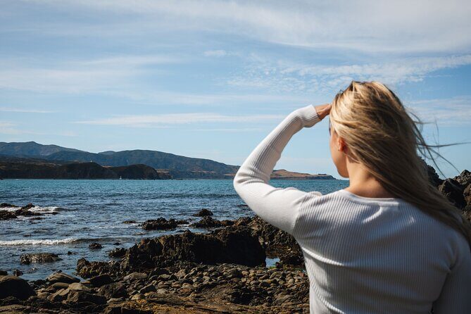 Discover Wellington 3 hour City Tour - The Experience: A Mix of Scenic and Cultural Highlights