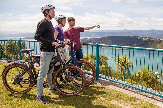 Discover Wellington 3 hour City Tour - Accessibility & Other Practicalities