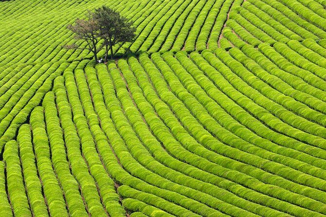 Discover Western Korea in 4days: All-Inclusive Experience - Key Points