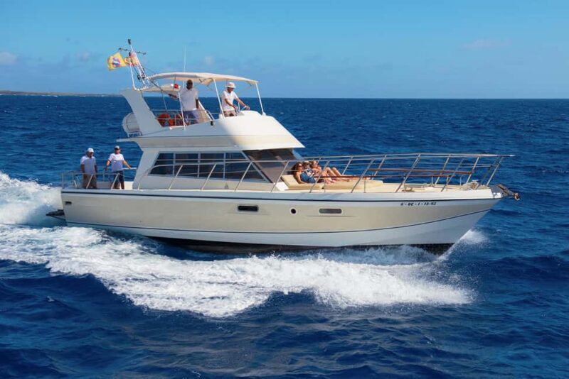 Discover whales in Tenerife: exclusive yacht tour with swimming and lunch. - Key Points
