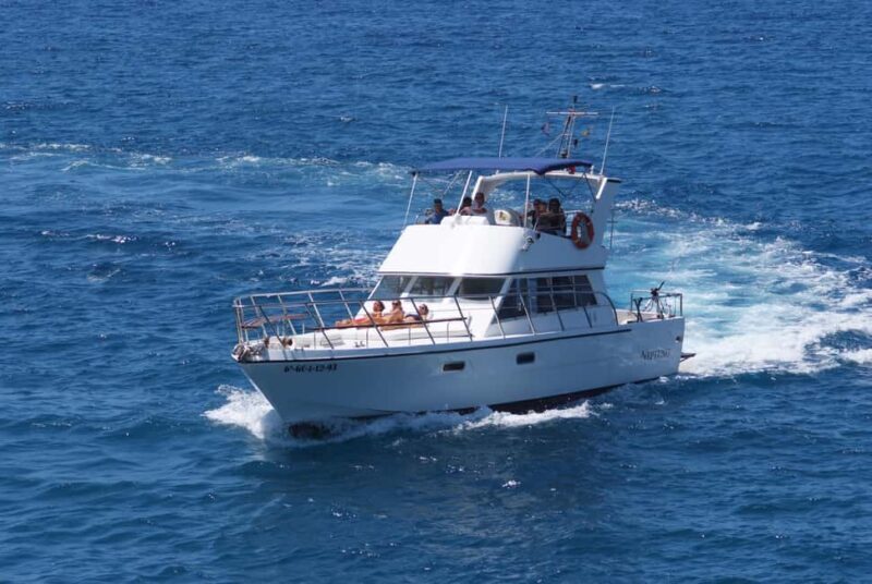 Discover whales in Tenerife: exclusive yacht tour with swimming and lunch. - Practical Tips and Considerations