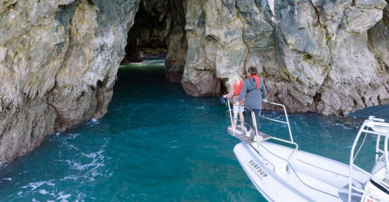 Discover Whangamata - Boat Tour - Why the Discover Whangamata Boat Tour Stands Out