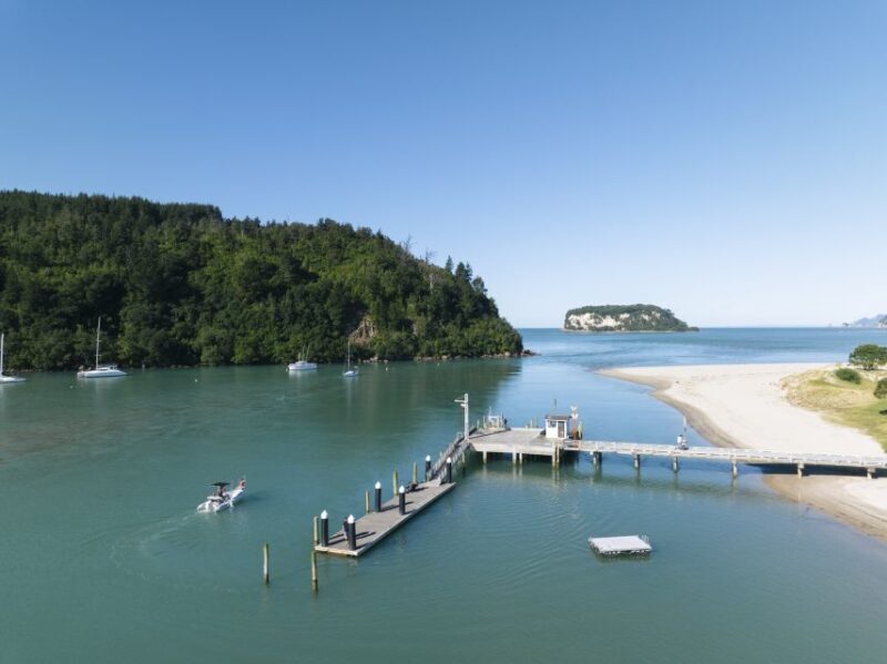 Discover Whangamata - Boat Tour - The Practical Details