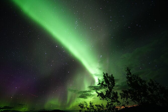 Discover Whitehorse with Northern Lights and Yukon Wildlife Tour - Practical Considerations