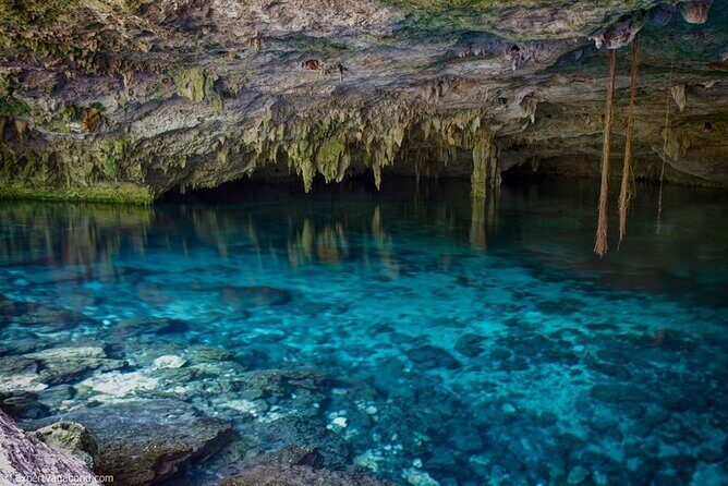 Discovering Breathtaking Cenotes in Tulum - Who Should Consider This Tour?