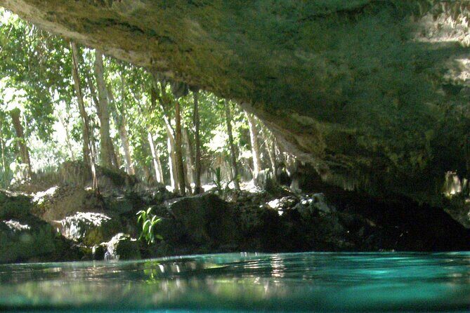 Discovering Breathtaking Cenotes in Tulum - The Sum Up