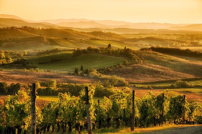 Discovering Chianti: Sunset eBike Tour and Dinner - What to Expect from the Tour