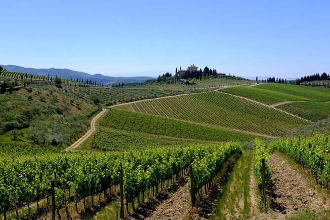 Discovering Chianti: Sunset eBike Tour and Dinner - The Sum Up