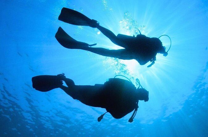 Discovering Diving in Chankanaab Park - The Sum Up: Is This Tour Worth It?