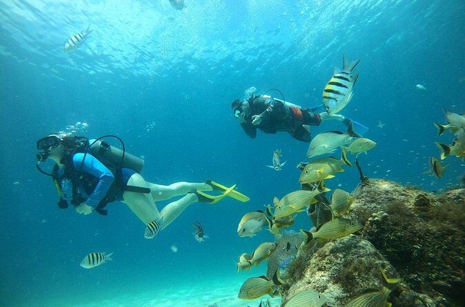 Discovering Diving in Chankanaab Park - Frequently Asked Questions