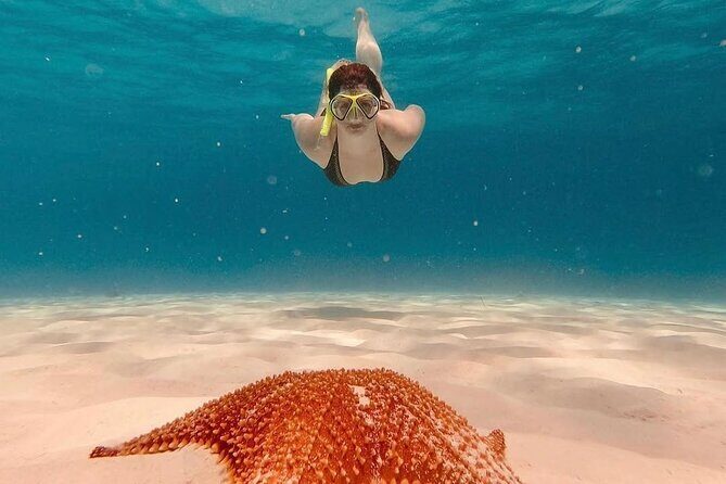 Discovering El Cielo Reef by Double Decker Catamaran - Who Is This Tour Best For?