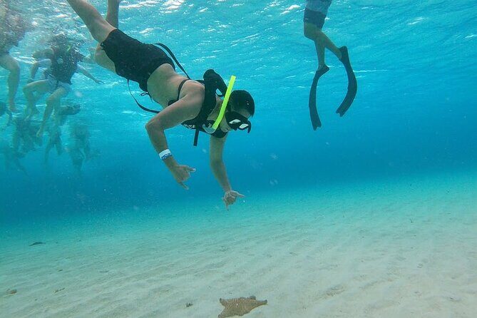 Discovering El Cielo Reef by Double Decker Catamaran - Final Words