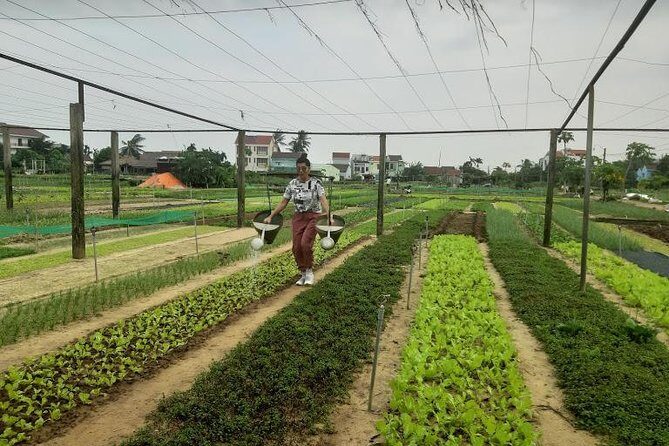 Discovering Hoi An Countryside Local style From Hoi an - An In-Depth Look at the Hoi An Countryside Tour