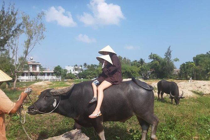 Discovering Hoi An Countryside Local style From Hoi an - Who Will Love This Tour?