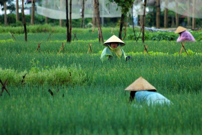 Discovering Hoi An Countryside Local style From Hoi an - Final Thoughts