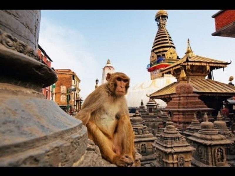 Discovering Kathmandu: Full-Day City Highlights Bus Tour - An In-Depth Look at the Tour Experience