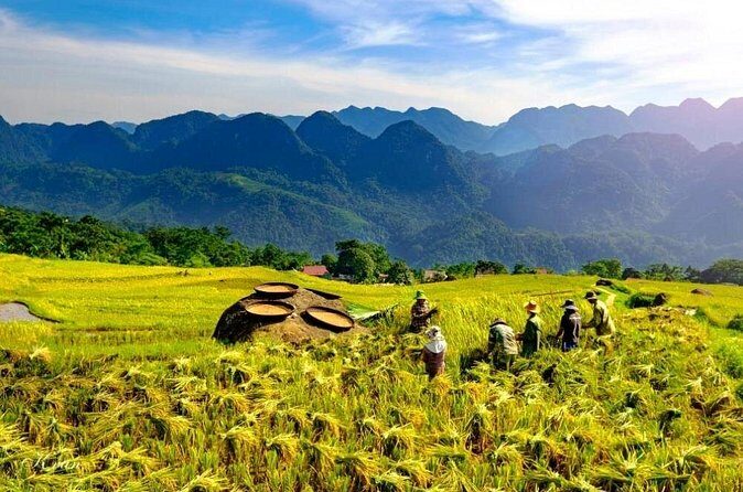Discovering Mai Chau Private Tour from Hanoi - Final Thoughts