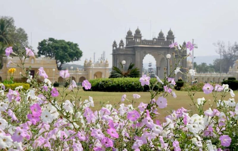 Discovering Mysore's Natural Wonders: Guided Half Day Tour - Key Points